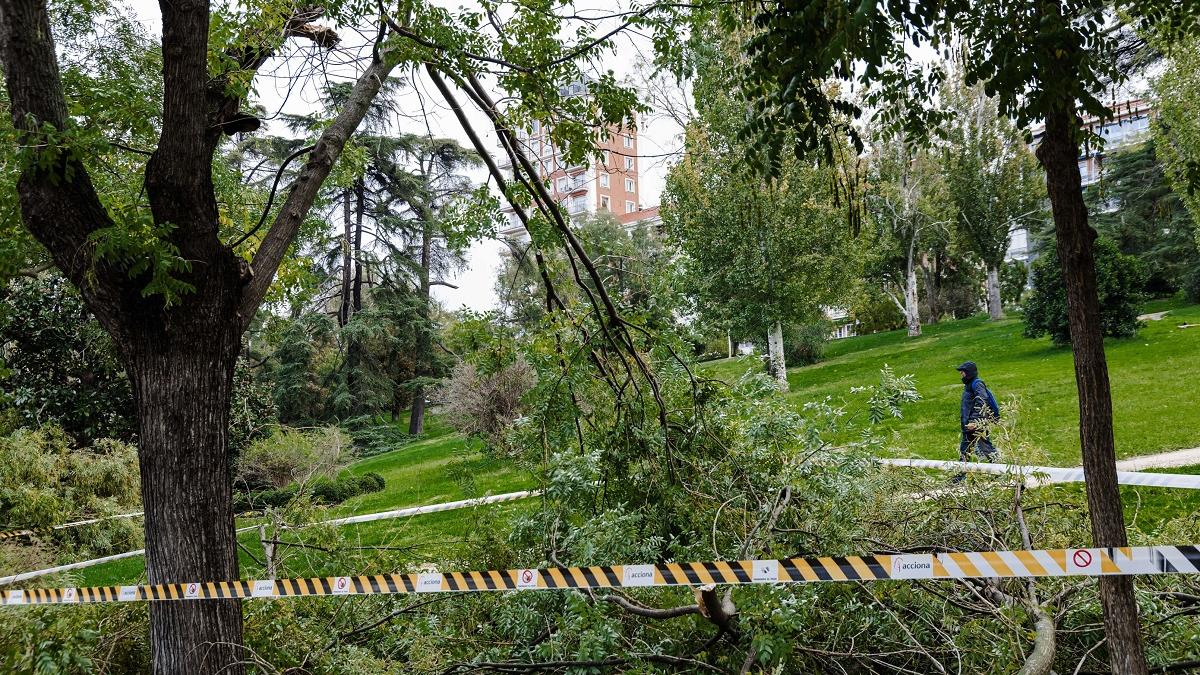 Vânt puternic în sud-vest și în zonele montane. Atenționări pentru ...