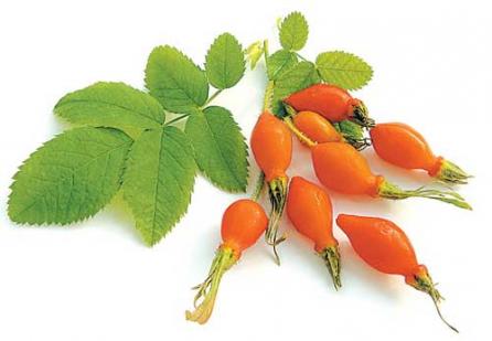 Stimulente imunitare naturale | Galerie Foto