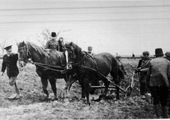 Războiul împotriva ţărănimii. Anii colectivizării (1949 – 1962 ...
