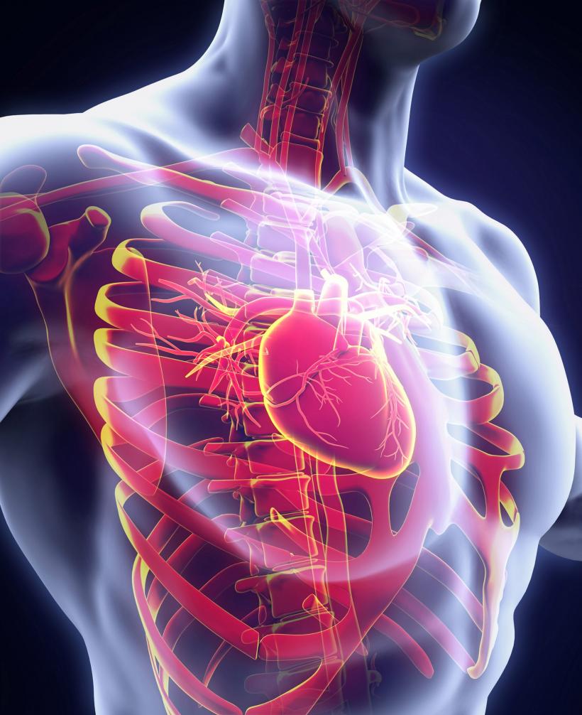 Dr. Gabriel Tatu-Chiţoiu: Inimile prea rapide sau prea lente scad ...